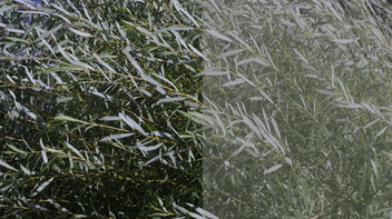 CONVERSION LUTS – Studio Znak