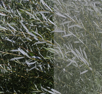 CONVERSION LUTS – Studio Znak