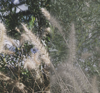 CONVERSION LUTS – Studio Znak